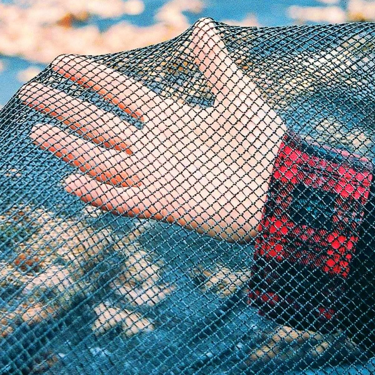 Filet pour piscine hors terre ronde | Trévi – Magasins Trevi inc.