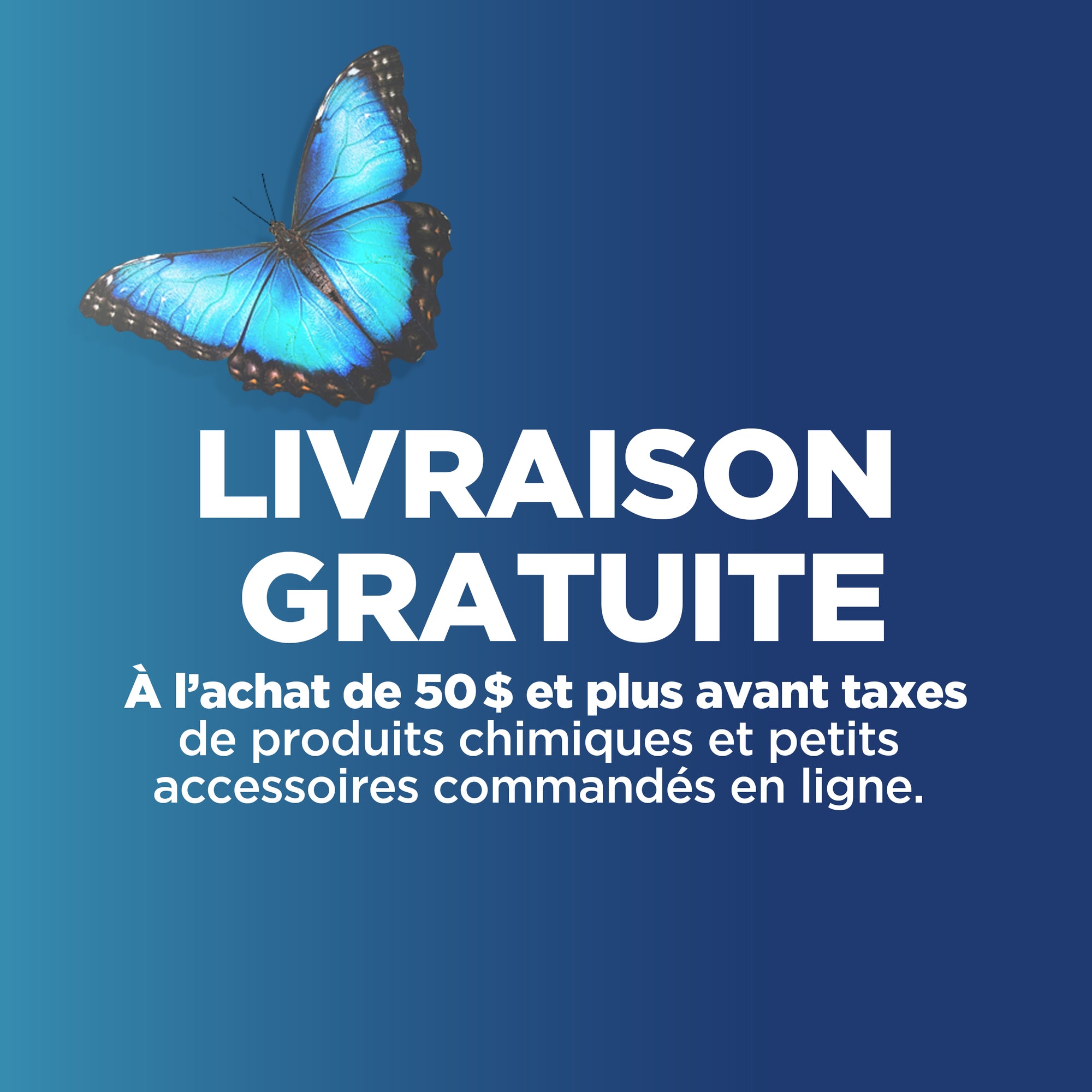 Circulaires | Trévi – Magasins Trevi inc.
